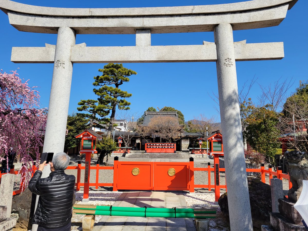 まことのすけ(@mako_pee) - Twilog (ツイログ)