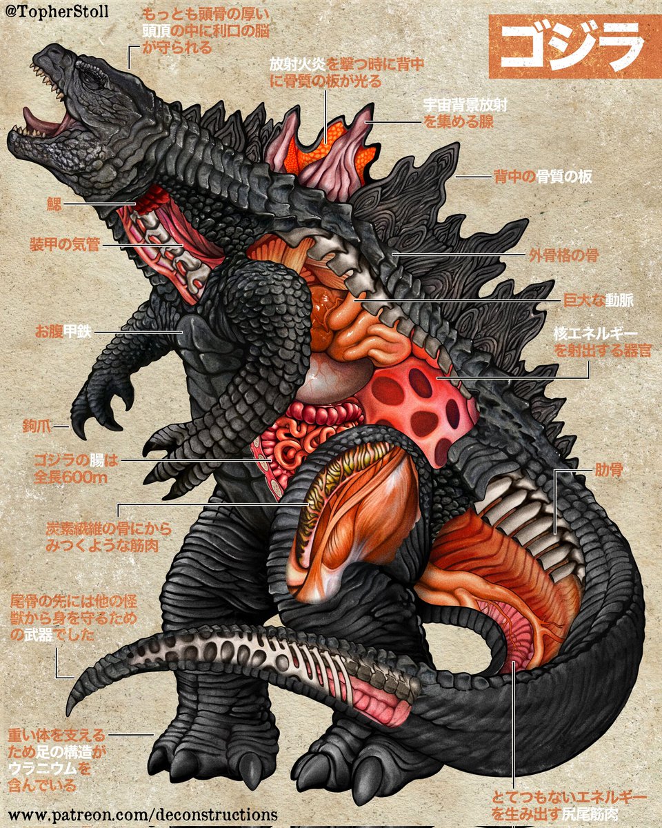 「Godzilla Anatomy Fig. I 」|Off to a Rough Artのイラスト