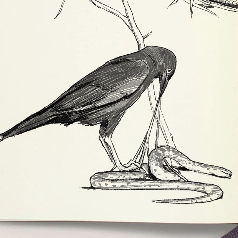 「Birds fucking shit up 」Jens Claessensの漫画