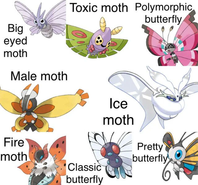 Purple Butterfly Pokemon