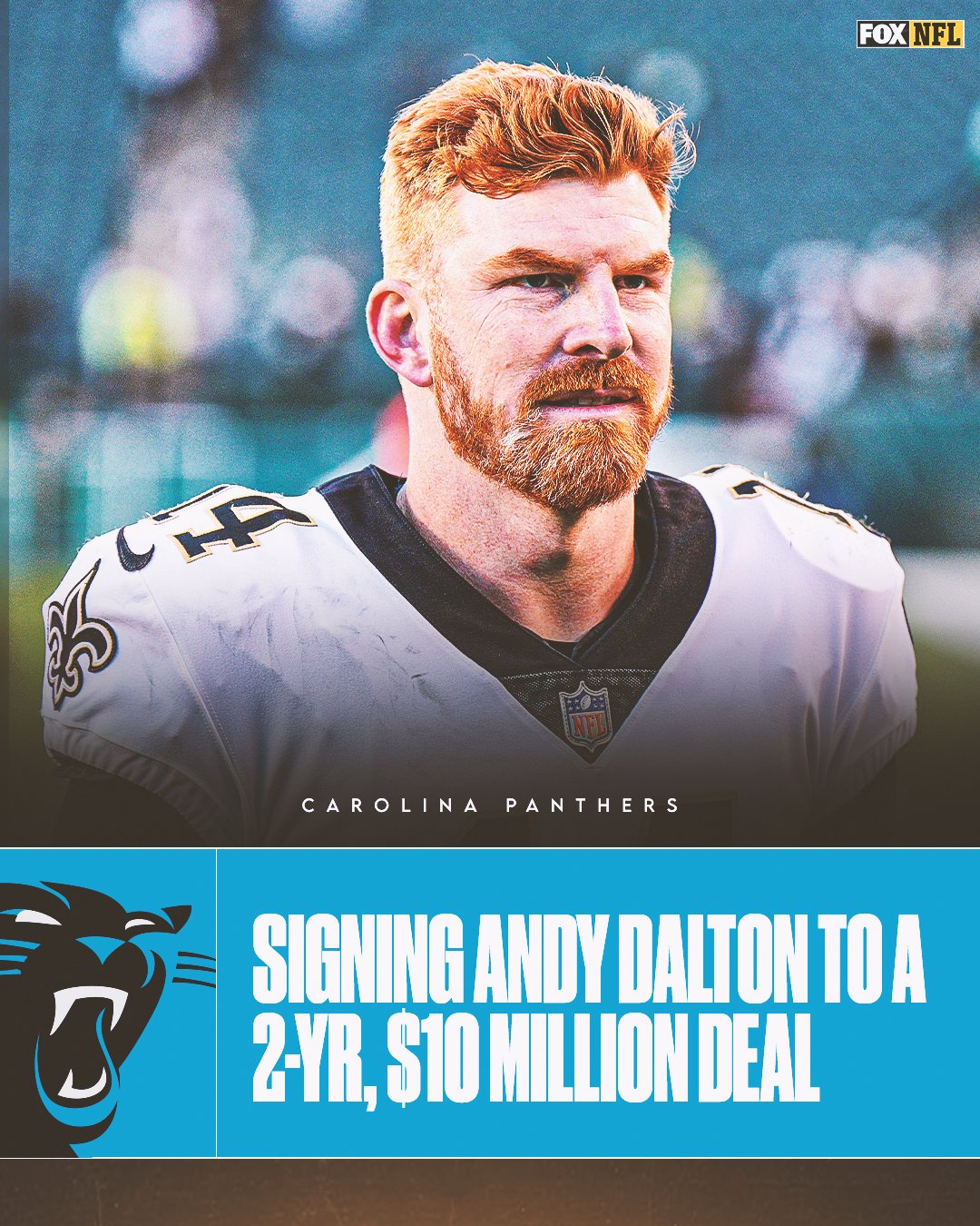Andy Dalton Ginger