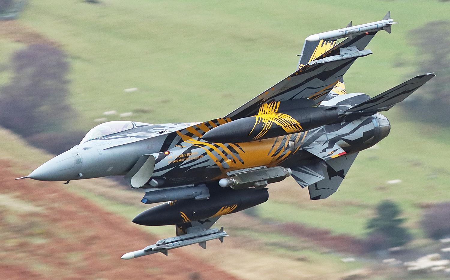 Tamiya 1/32 F-16AM "X-Tiger" - Done - Works in Progress - Large Scale ...