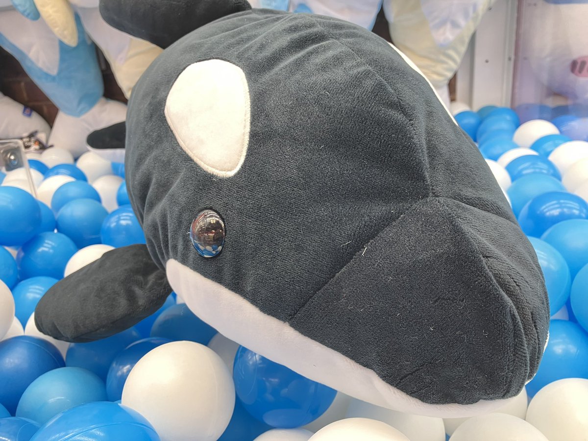 タイステ海老名ビナウォーク店🎊20周年 On Twitter おはようございます🍀タイトーステーション海老名ビナウォーク店開店しております🍎 海老名vw タイステ
