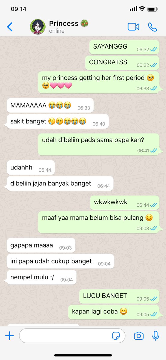 ssf! 🍅🌸🥗 on Twitter: "ssf! sasusakusara one tweet au what if sarada got ...