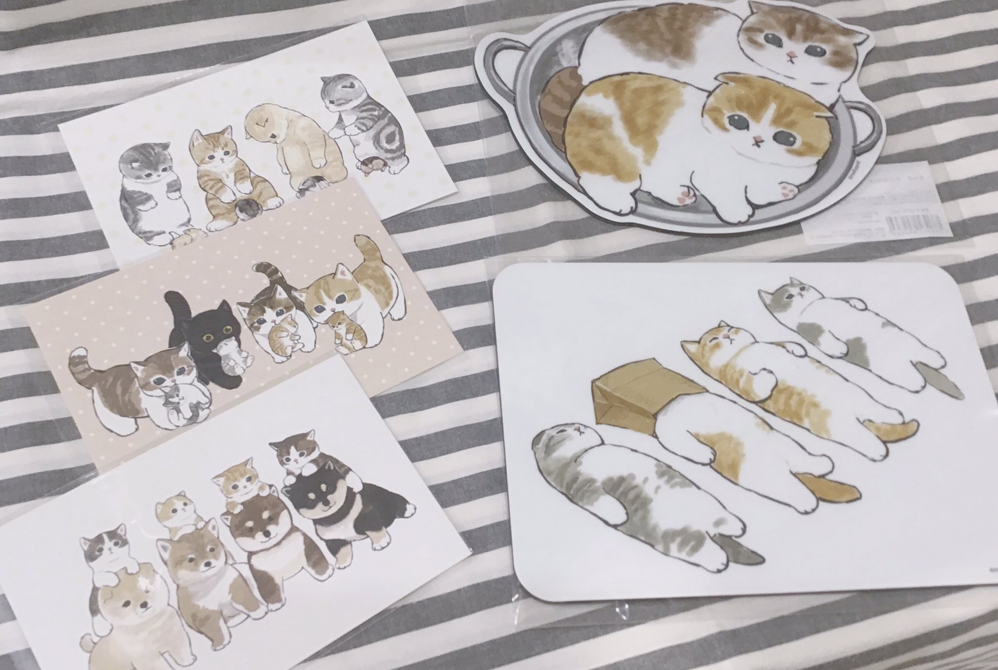 FEWMANY 新宿マルイアネックス店(3階) on Twitter: "🐈 再入荷情報 🐈 #ぢゅの さん(@mofu_sand )の お品切れしておりました商品が再入荷いたしました クリア ...