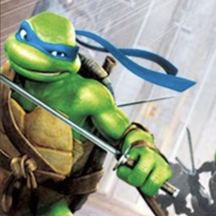 Tmnt Mikey 2007
