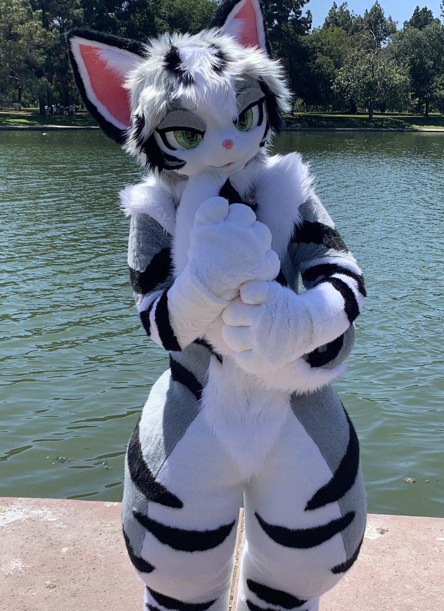 Kotetsu on Twitter: "No touchy!"