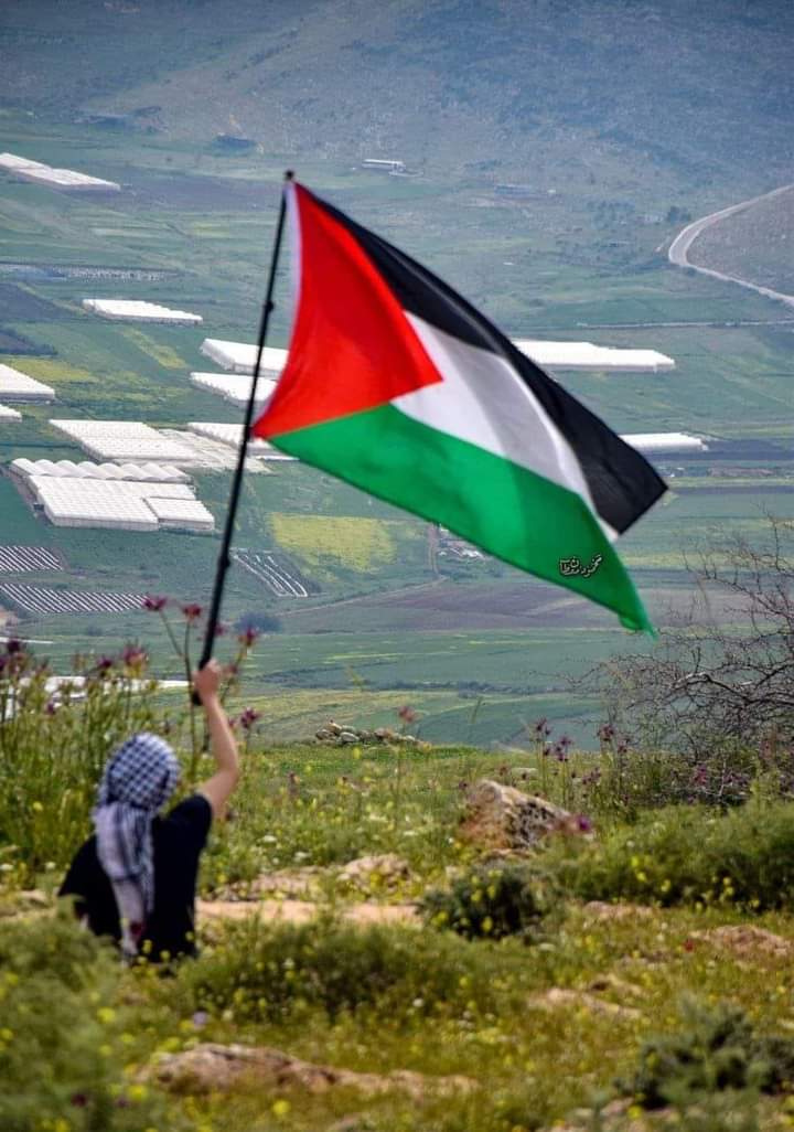 Blacknoose 🐝🌿 φ 🔻 on Twitter: "RT @Haneen9608: Free Palestine From the river to the sea ...