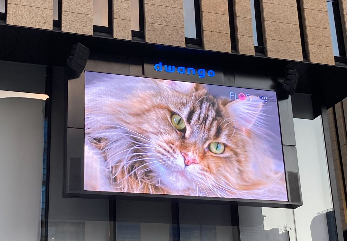 FLOS COMIC on Twitter: "【FLOS COMIC創刊5周年】 池袋ハレスタビジョンにて、3/28（火）まで『弱気MAX令嬢なのに、辣腕婚約者様の賭けに乗ってしまった ...