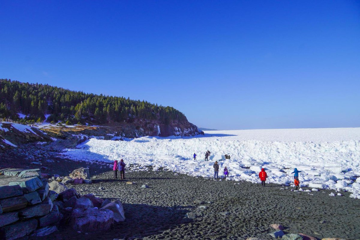 Cape Breton Post On Twitter Many People In Cape Breton And Newfoundland Are Familiar With Ice