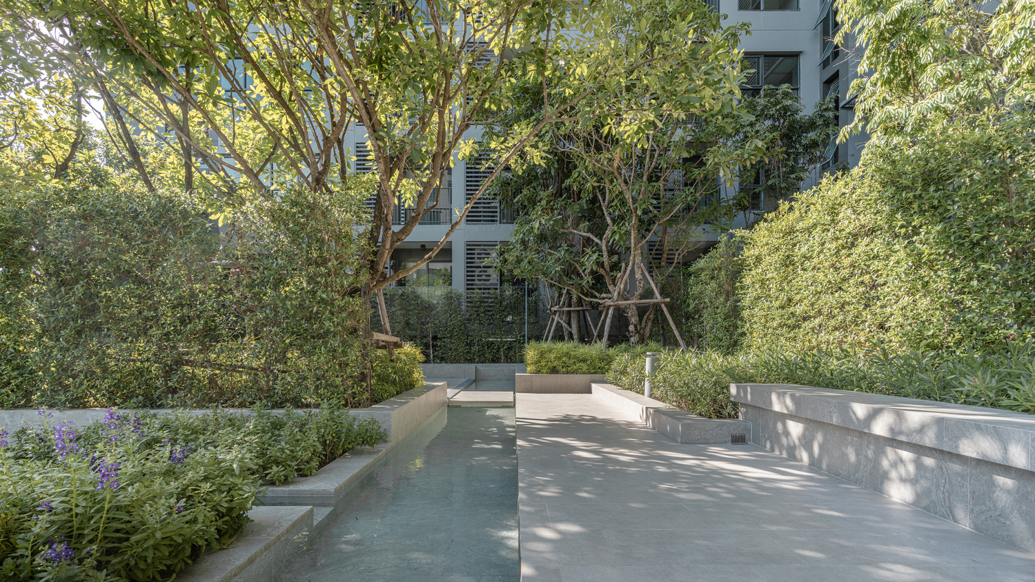 MANA Development (@manadevelopment) / Twitter