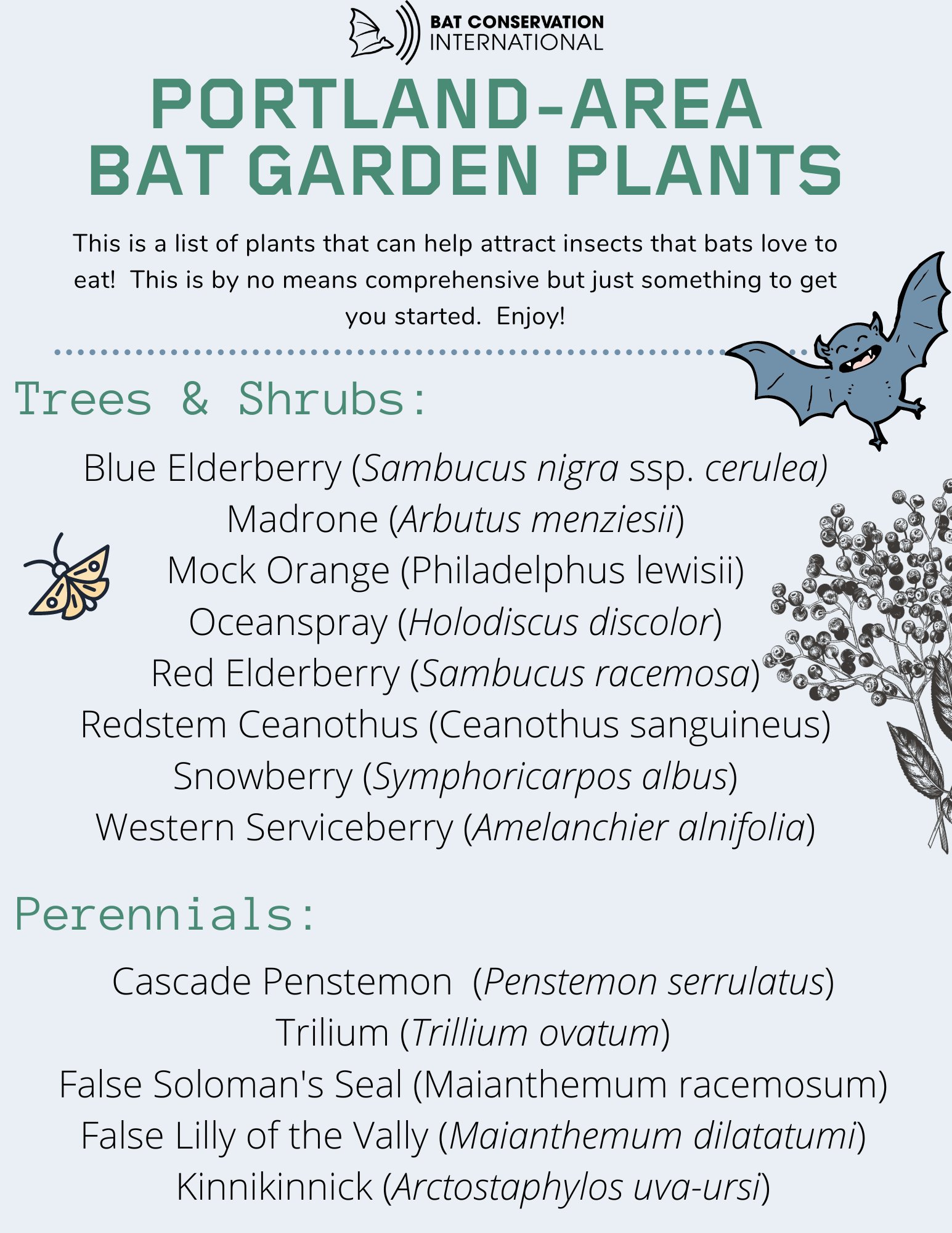 Bat Conservation International