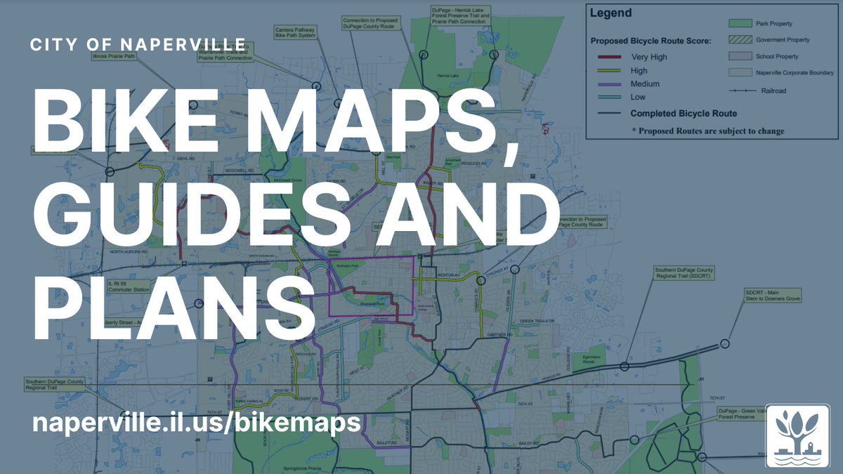 Naperville County Map