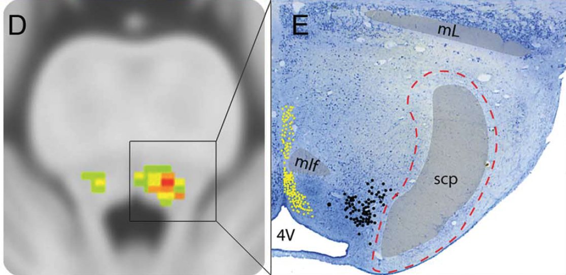 Aaron Boes's Threads – Thread Reader App
