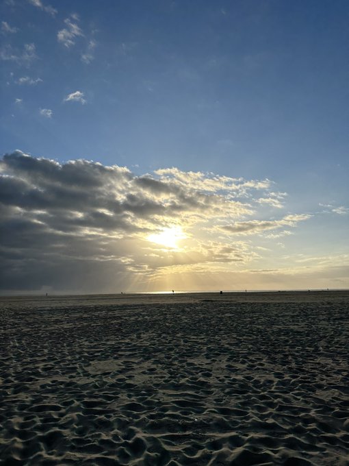 TW Pornstars - Bryce Adams 💋. The most retweeted pictures and videos ...