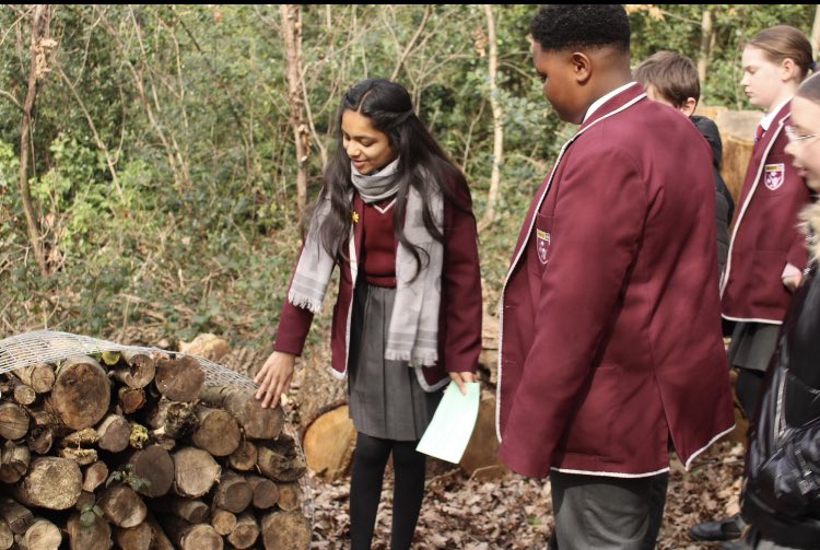 Welcome to Harris Academy Beulah Hill