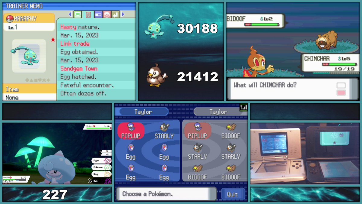 Taylor on Twitter: "2 Years and 5 Months later, Shiny Manaphy after 30,188 Eggs Hatched. 43,520 ...