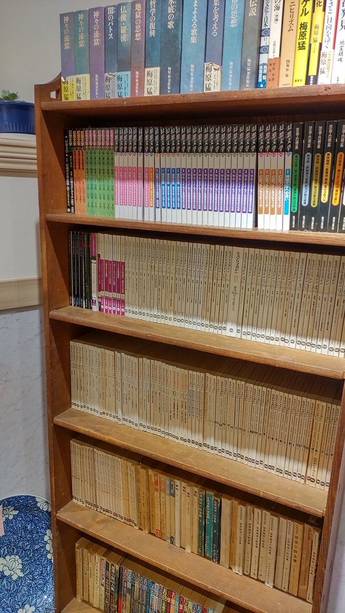 Bookspaceあらえみしstaff On Twitter Bookspaceあらえみし、実は店舗奥のカフェスペースまで本が並んでいます。【古道具コーナー】も人気です。