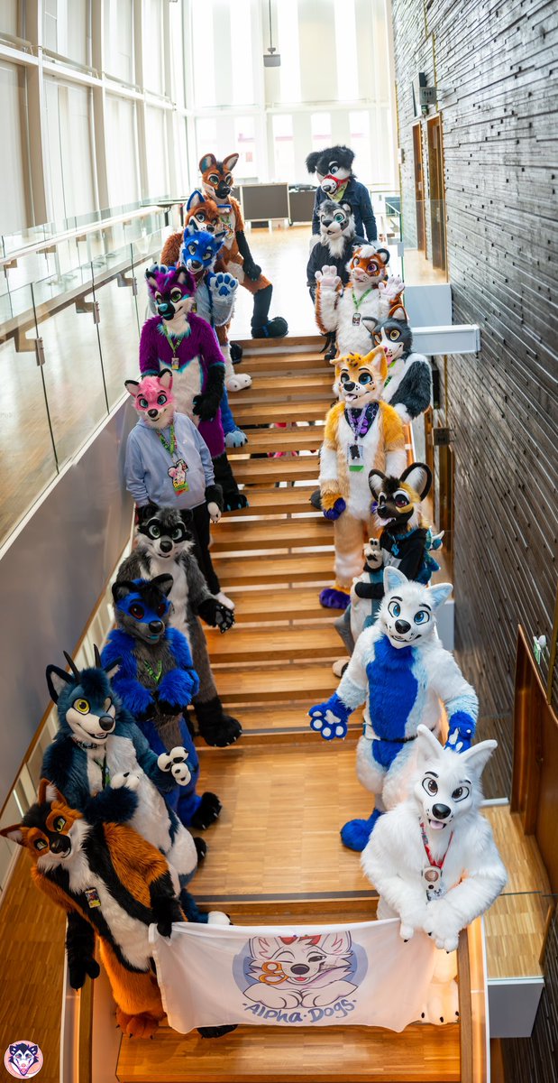 Alpha Dogs On Twitter So Many Cuties Showed Up For The Alpha Dogs