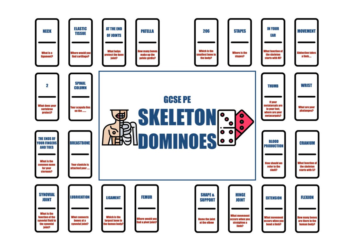 PE Teacher Toolkit on Twitter: "GCSE PE Skeleton Dominoes Game Follow ...