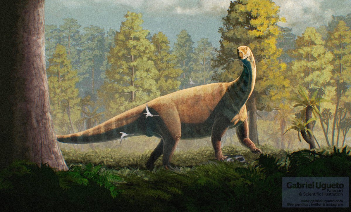 Gabriel N. U. (@SerpenIllus) さんのイラスト・マンガ作品まとめ (1,434 件) - Twoucan