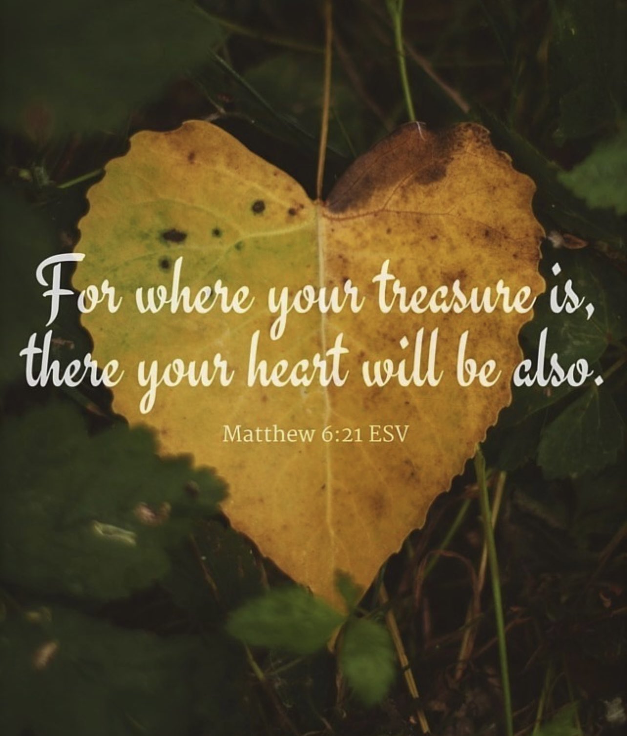 Where Your Treasure Is