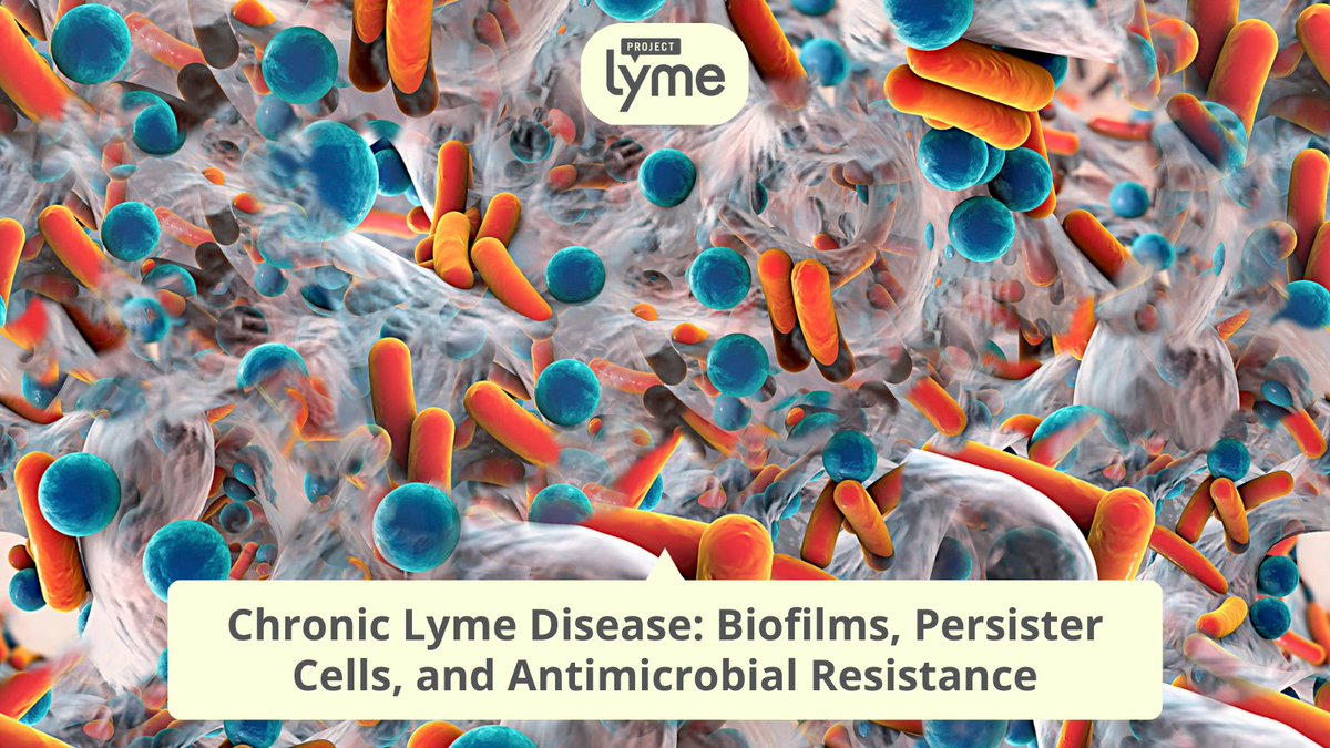 Project Lyme on Twitter: "Part of what makes chronic infections like lingering #LymeDisease so ...