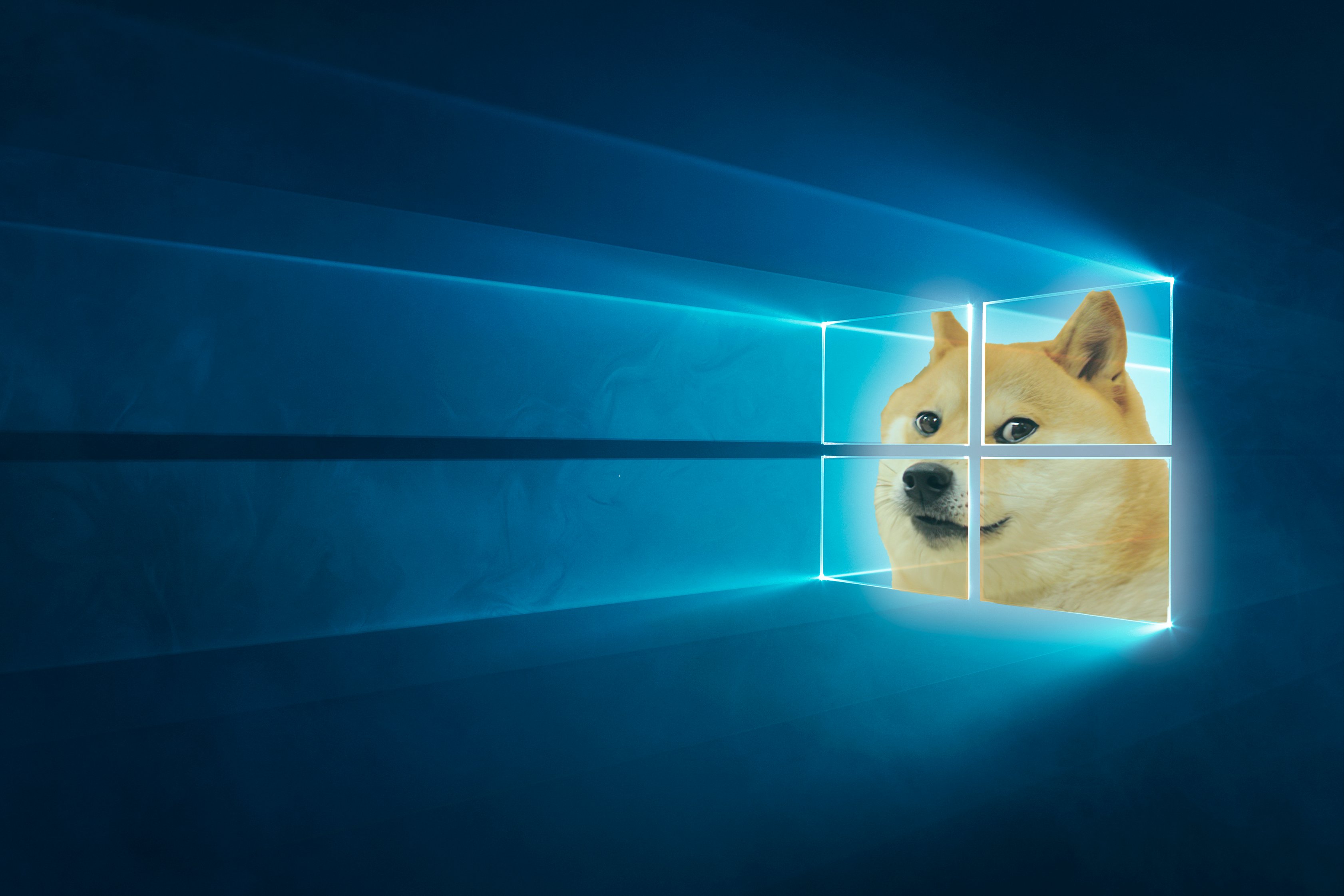 Doge Windows