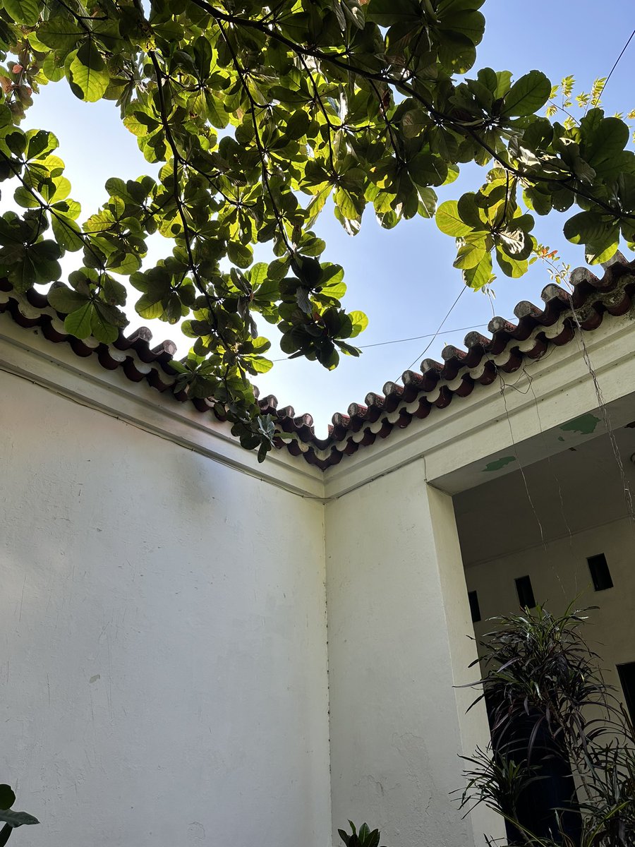 Jalan-jalan sore di area old town Dili sambil jelajah salah satu kampus ...