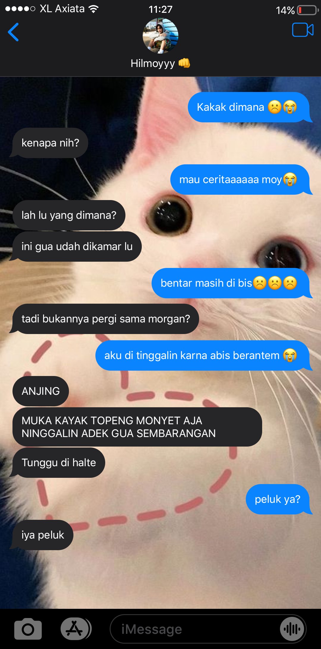 AU BXB on Twitter: "23 https://t.co/boKZ1TWOWm" / Twitter