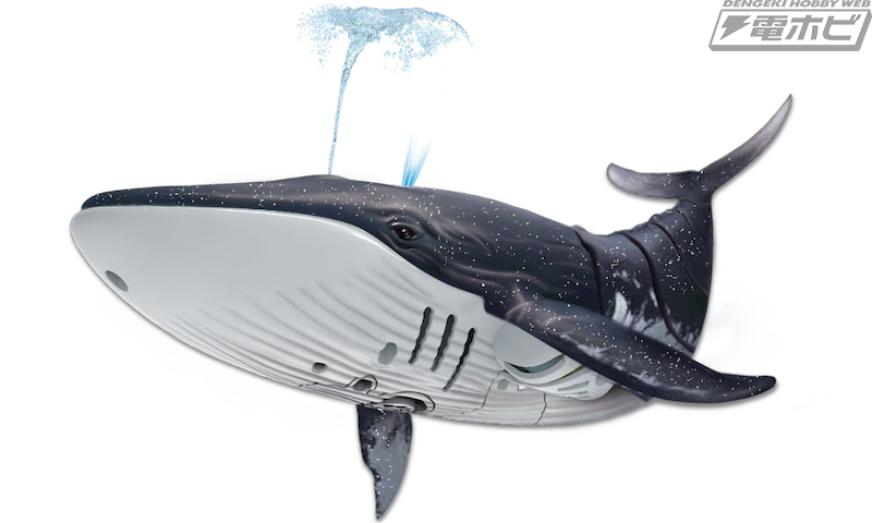 電撃ホビーウェブ on Twitter: "【100RT】潮吹きギミックを搭載！ゆったり泳ぐホエール（鯨）の電動RC「2.4GHz R/C ホエール」が #童友社 より登場！ https ...