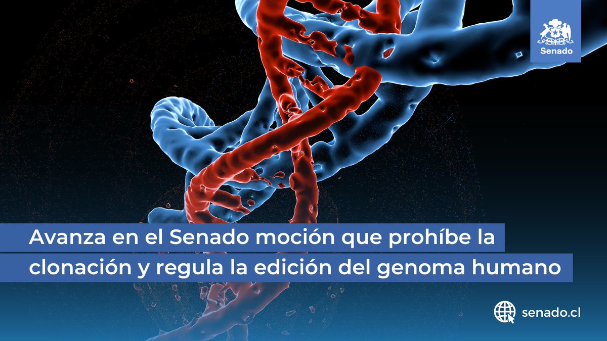 Senado Chile on Twitter: Senado Chile on Twitter: