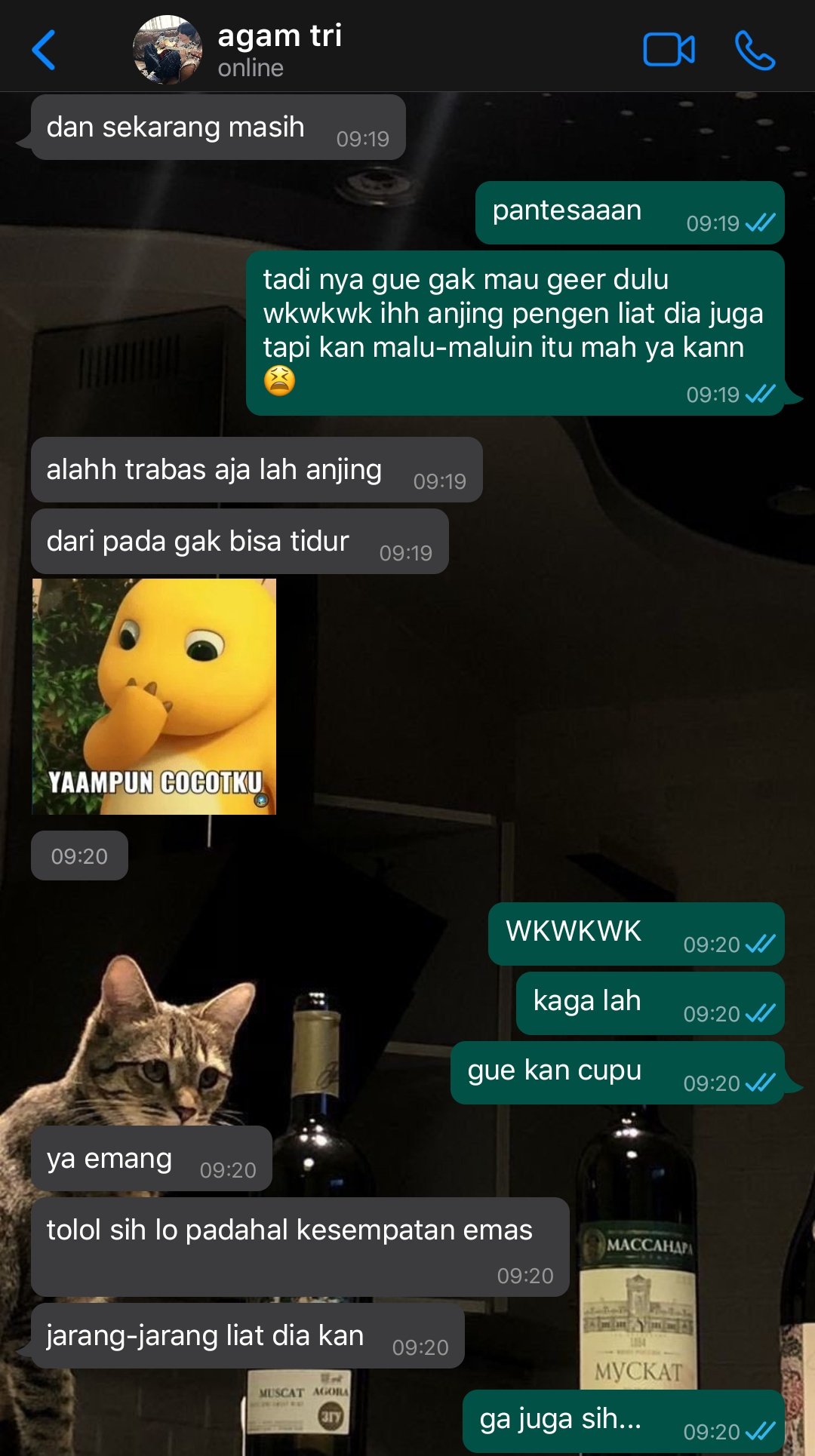 zel on Twitter: "09— langsung minta pulang anaknya. https://t.co/PHgBk3YvnX" / Twitter