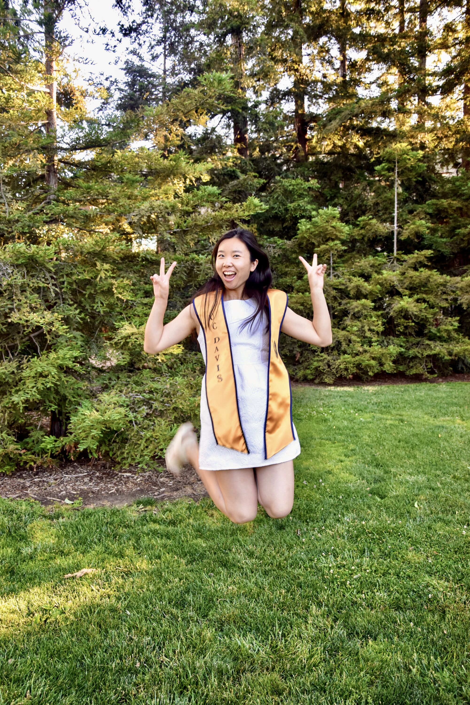 Macy Lu (@your_local_macy) / Twitter