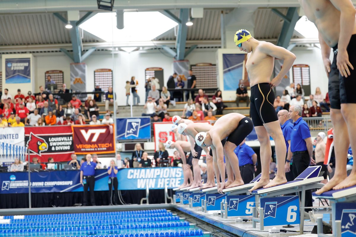 Michigan Swimming & Diving on Twitter: "400 IM Prelim Final 12. Daigle - 3:40.35 (B-final) 28 ...