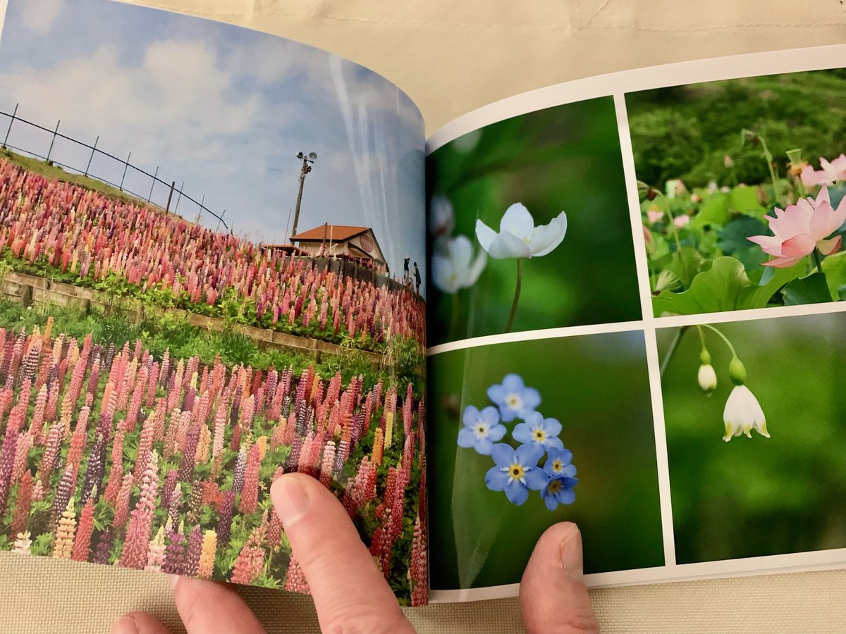 Gushwell / いでいひでゆき(@gushwell) - Twilog