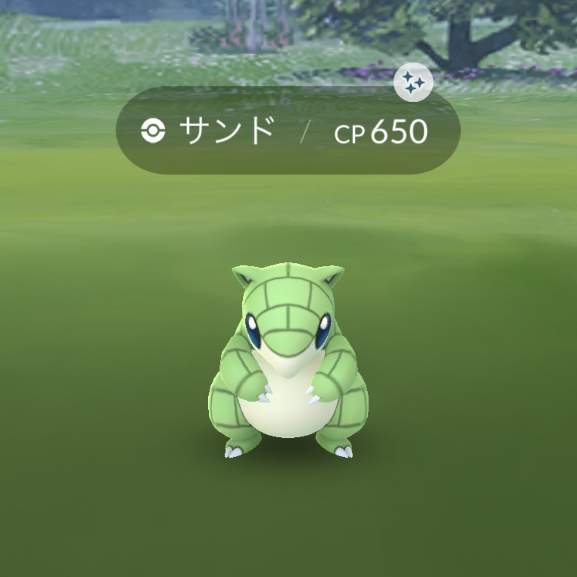 【ポケモンGO】サンドパンの色違い、 入手方法と実装状況 – 攻略大百科