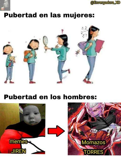 Pubertad Memes Tu, Todo Pendejo, Pasando A La Pubertad | Memes Amino