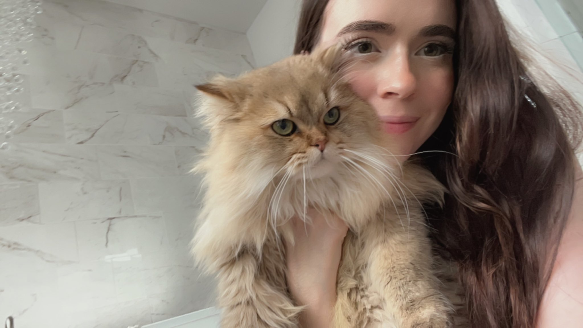 Softpaws on Twitter: "NORMAN 🥰 https://t.co/N8sfw1BkQe" / Twitter