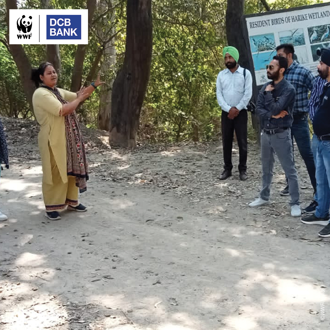 WWF-India on Twitter: "In the lead-up to #EarthHour, @DCBBank continues to support wetland ...