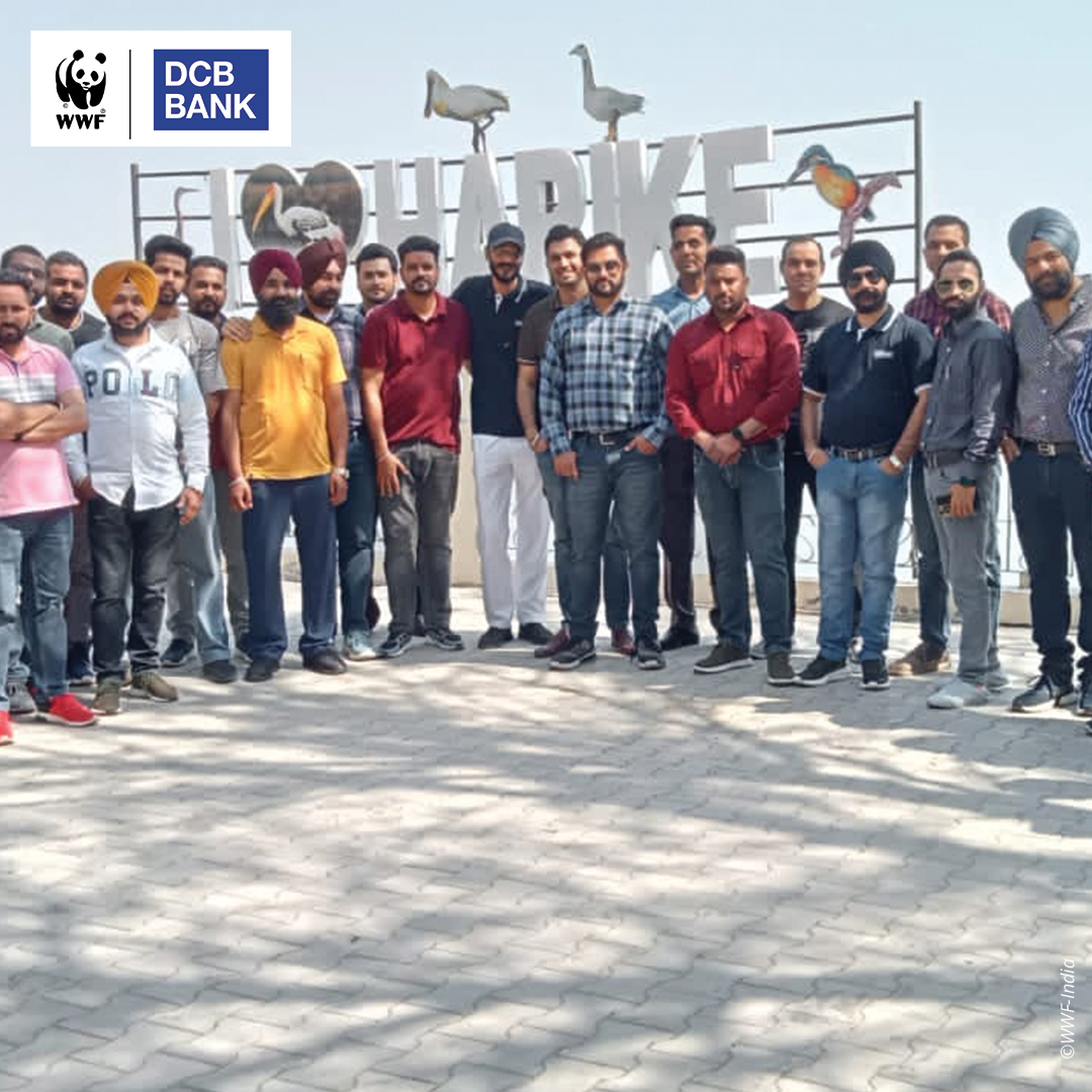 WWF-India on Twitter: "In the lead-up to #EarthHour, @DCBBank continues to support wetland ...