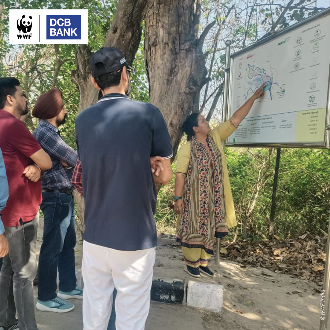WWF-India on Twitter: "In the lead-up to #EarthHour, @DCBBank continues to support wetland ...