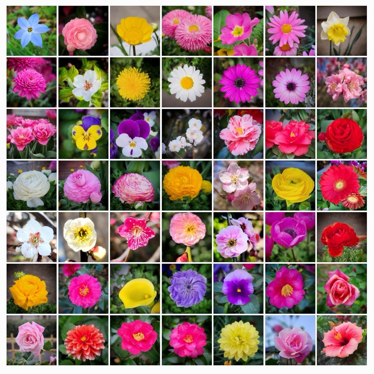 キタキツネ 🦊🆎♂️♎♨️🚭🍺(@kitakitune_007) - Twilog (ツイログ)