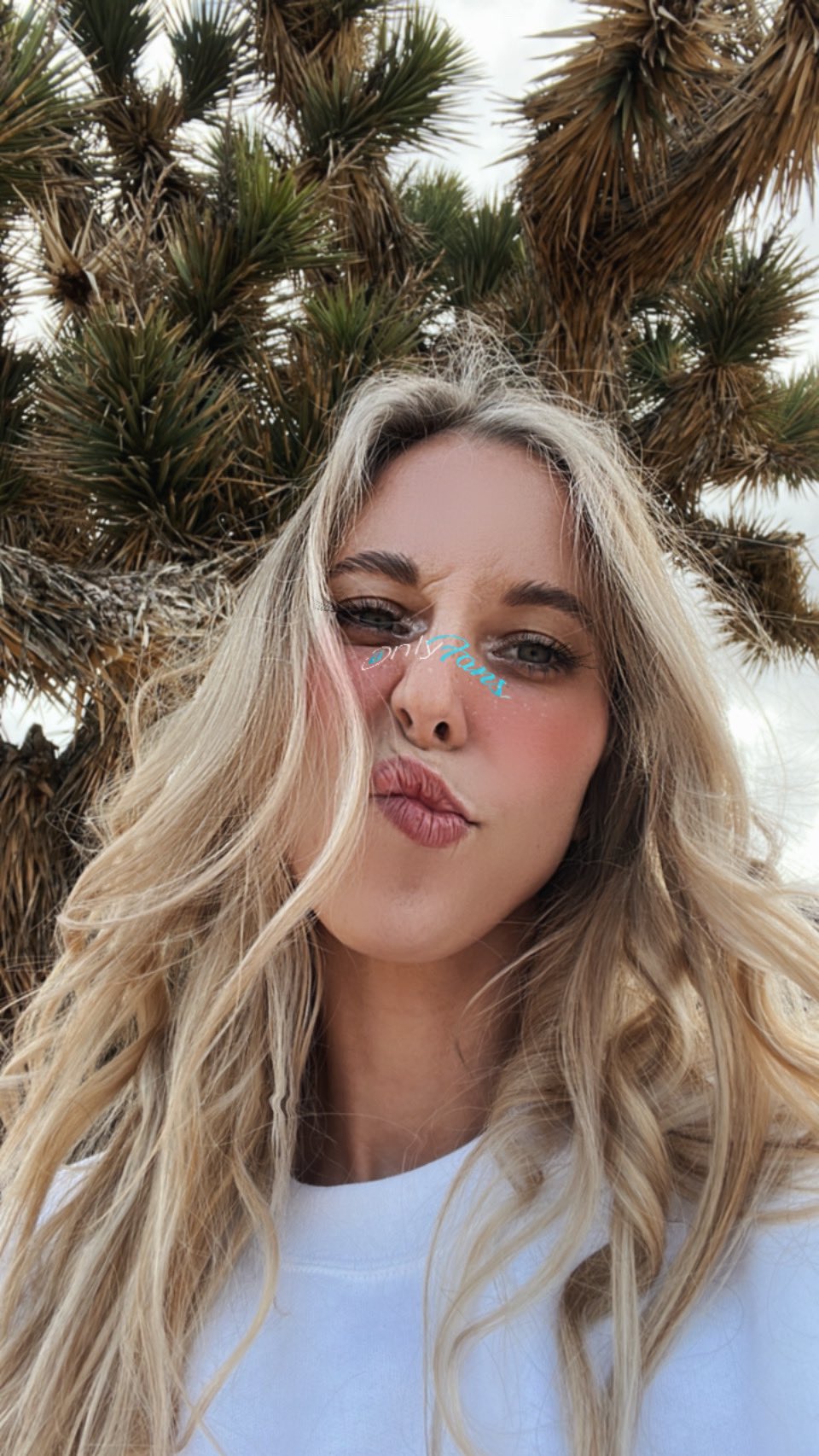 TW Pornstars - 1 pic. MOREMILLIE.COM💘Millie Morgan. Twitter. idk. 4:55 PM - 17 Mar 2023