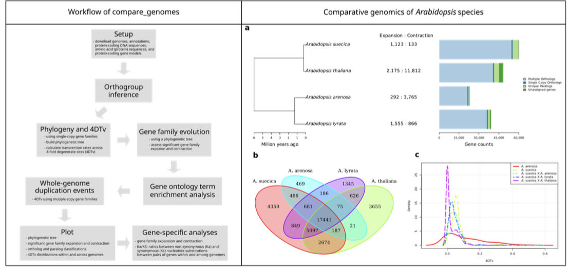 antisense. on Twitter: "compare_genomes: a comparative genomics workflow to streamline the ...