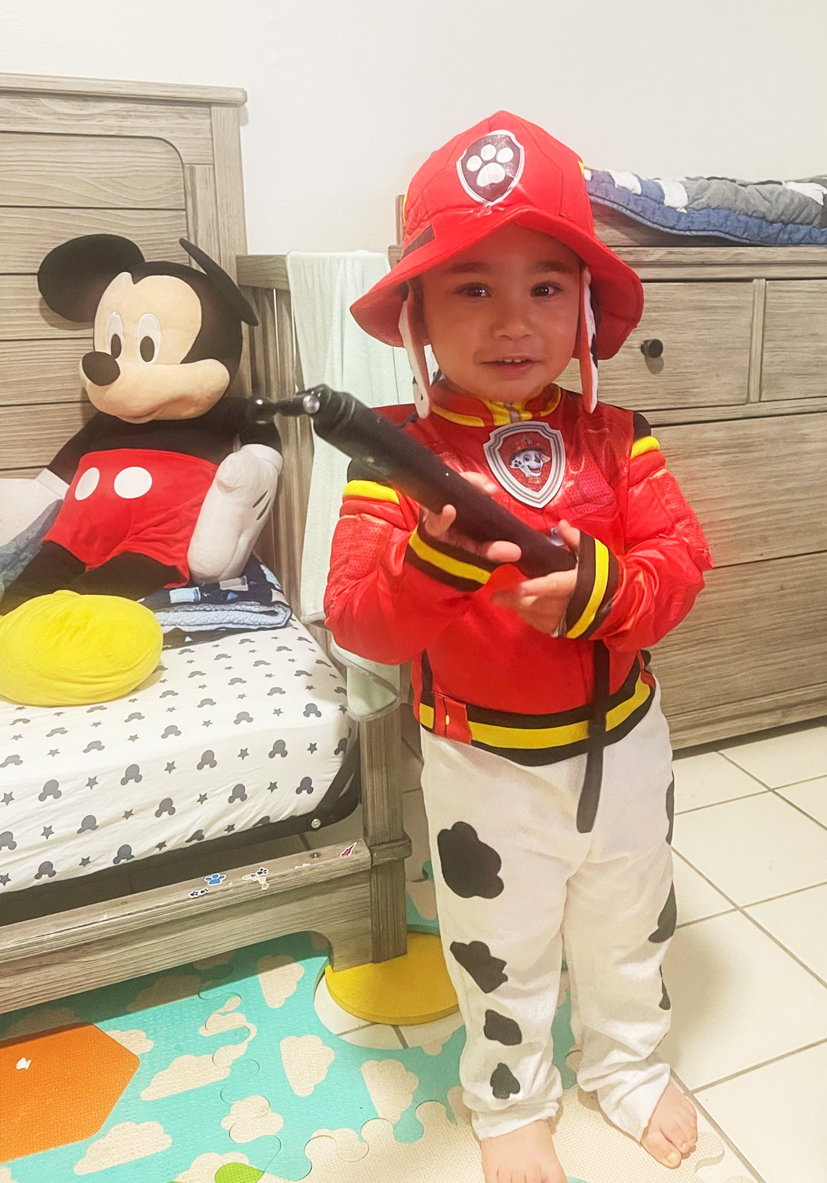 Paw Patrol Badges Fire