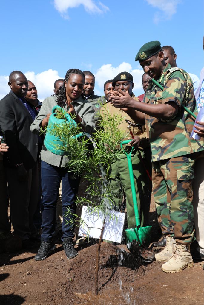 Ministry of Environment, Climate Change & Forestry on Twitter: "Mission 15B #Jazamiti #KuzaMiti ...