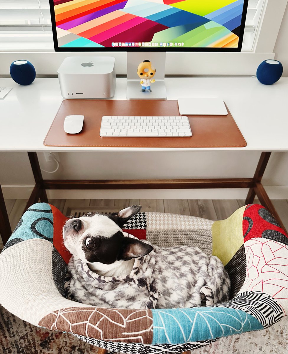 Basic Apple Guy on Twitter: "Basic Apple Pup"