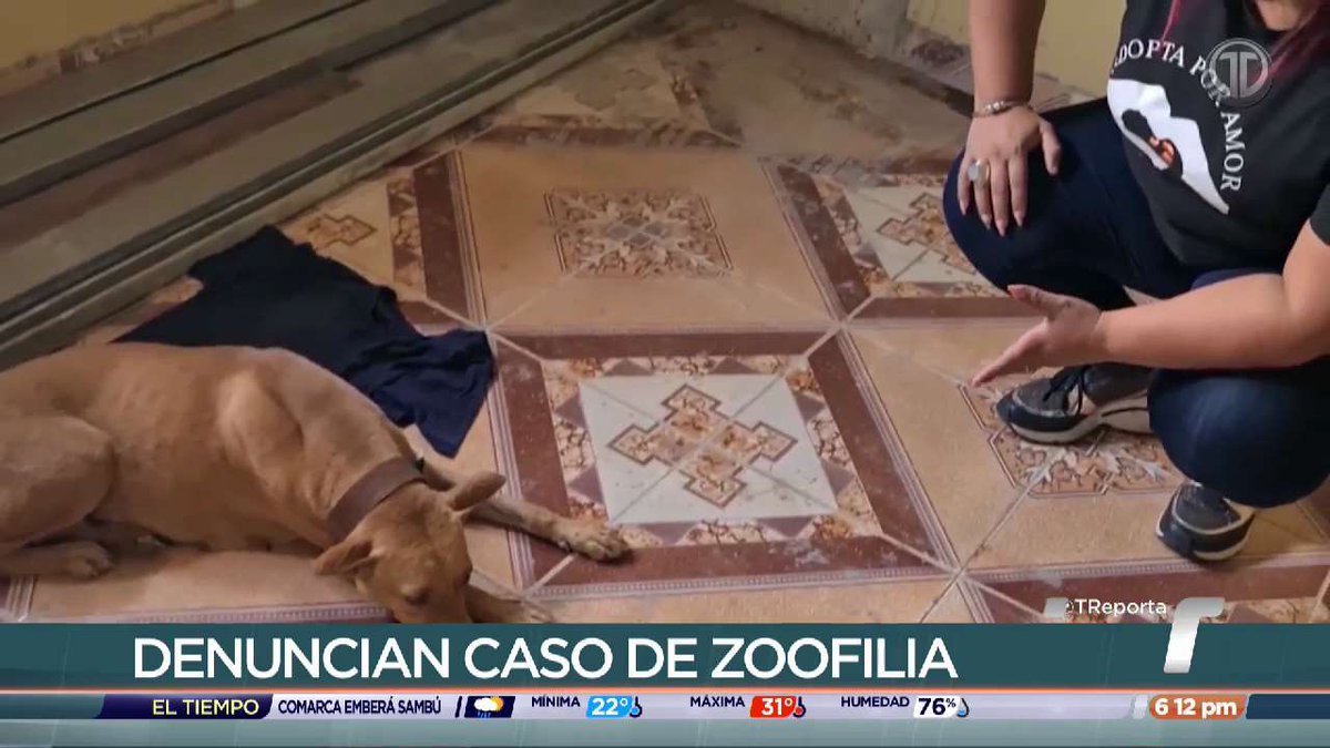 Telemetro Reporta on Twitter: "Denuncian caso de zoofilia en La Cabima. Una perrita fue abusada ...