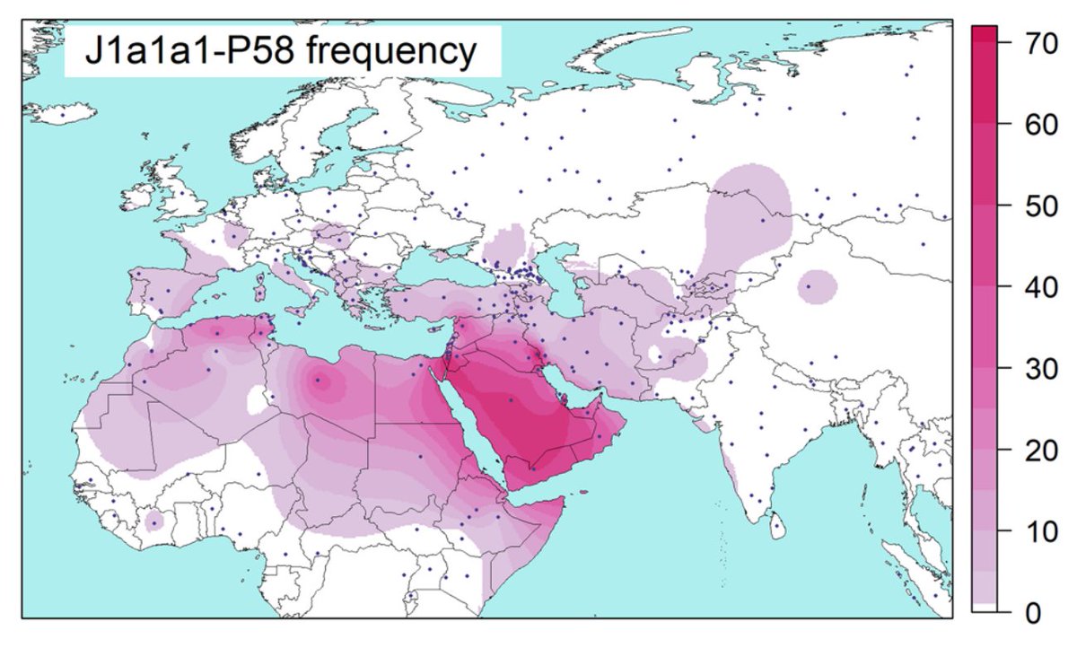 GroundedInReality's Threads – Thread Reader App